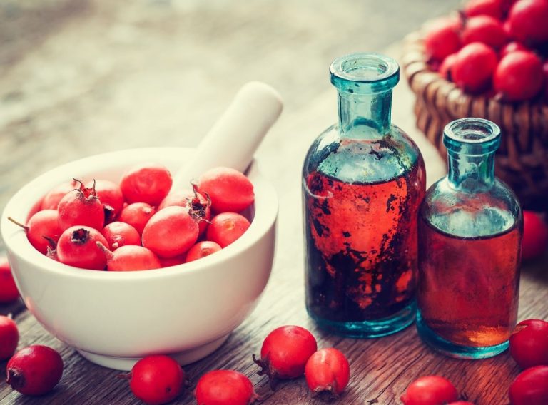 Making Hawthorn Tincture - Antioxidants for The Winter - Elemental Retail