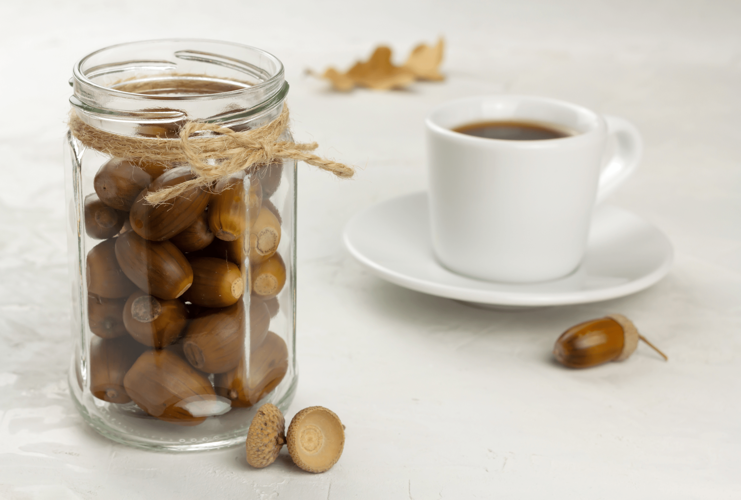 Making Acorn Coffee - Elemental Retail