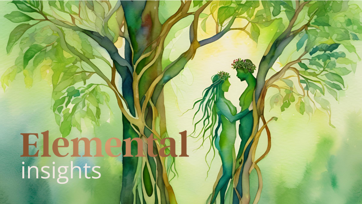 Elemental Insights : Beltane 2025 - Elemental Retail